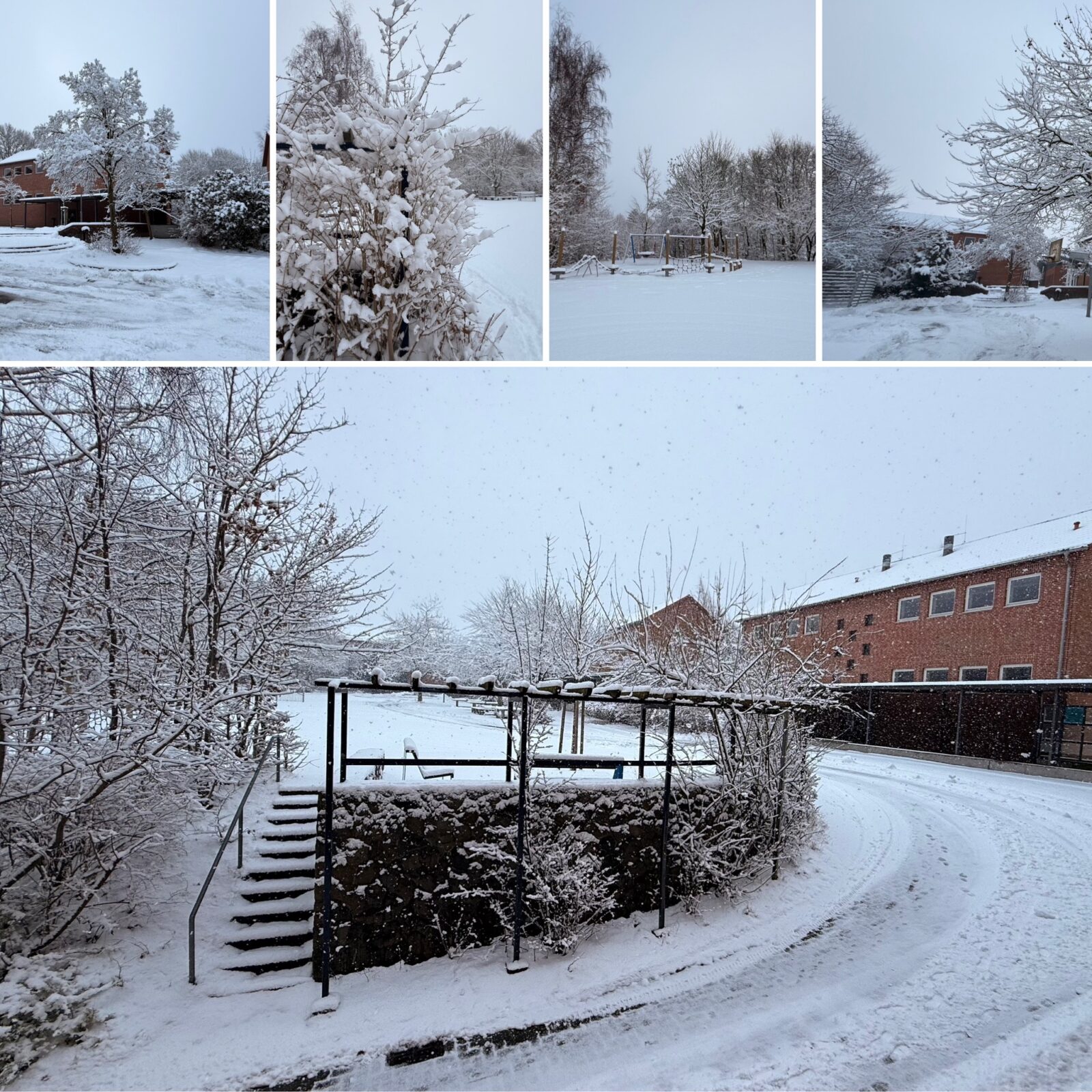 Neujahr 2026 an der Fns – Fridtjof-Nansen-Schule